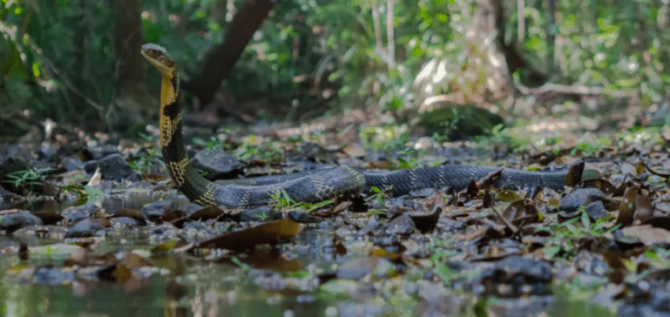 Papikonda National Park | Greenverz