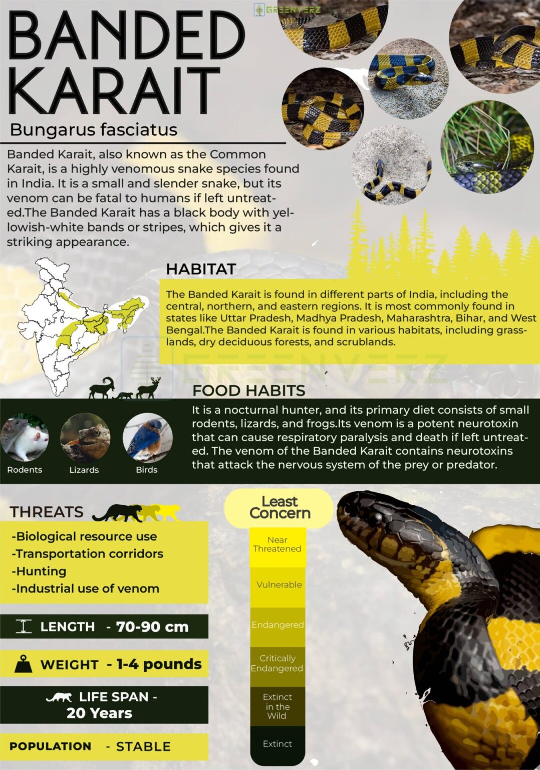 Infographics of Branded Karait | Greenverz