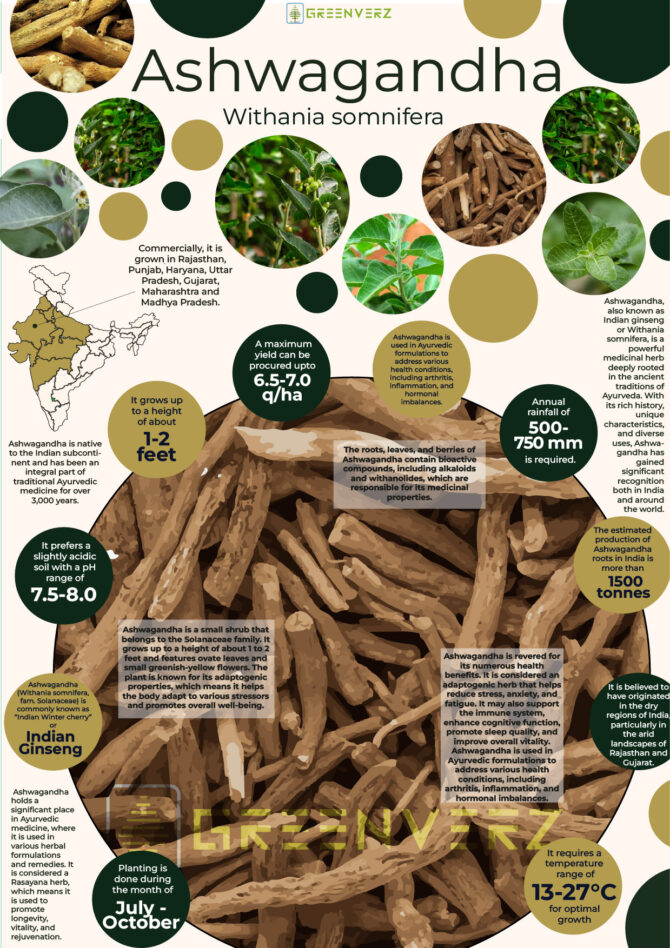 Infographics of Ashwagandha | Greenverz