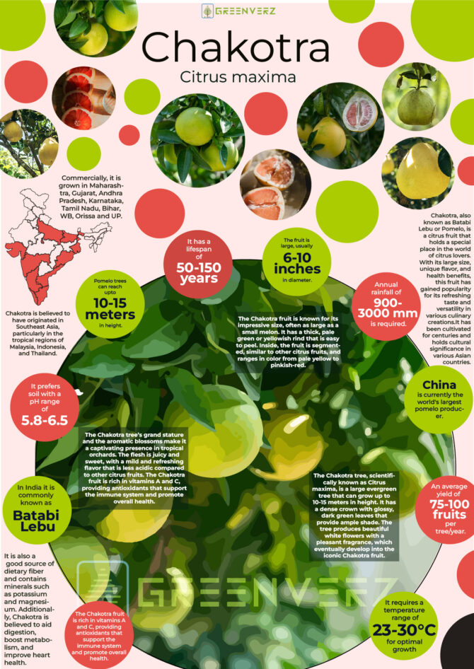 Infographics | Greenverz