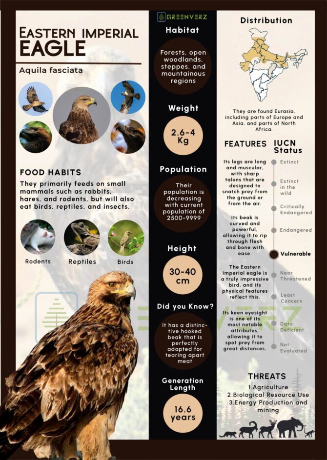 Infographics of Eastern Imperial Eagle | Greenverz