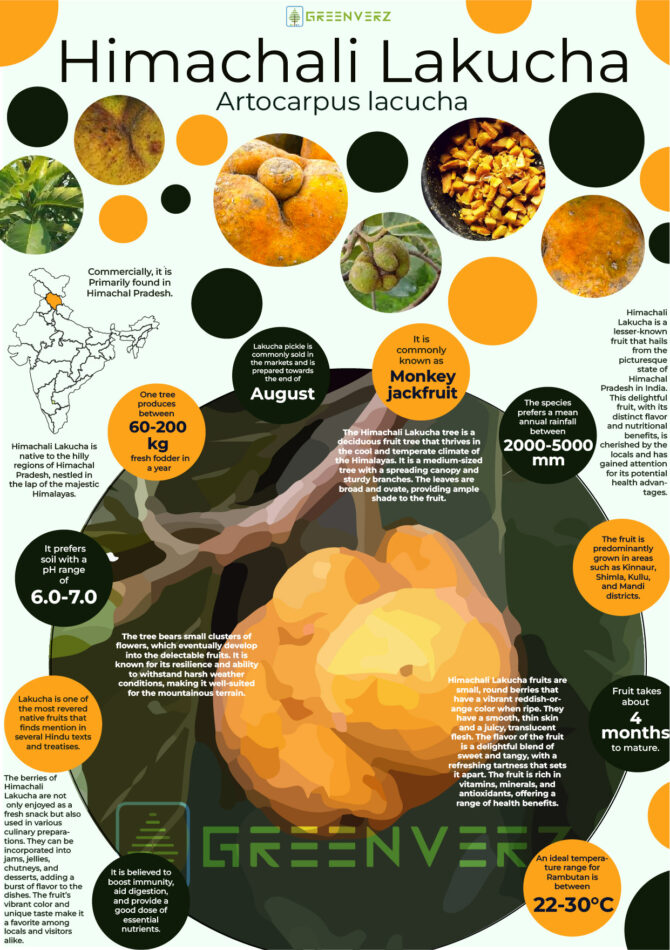 Infographics – Greenverz