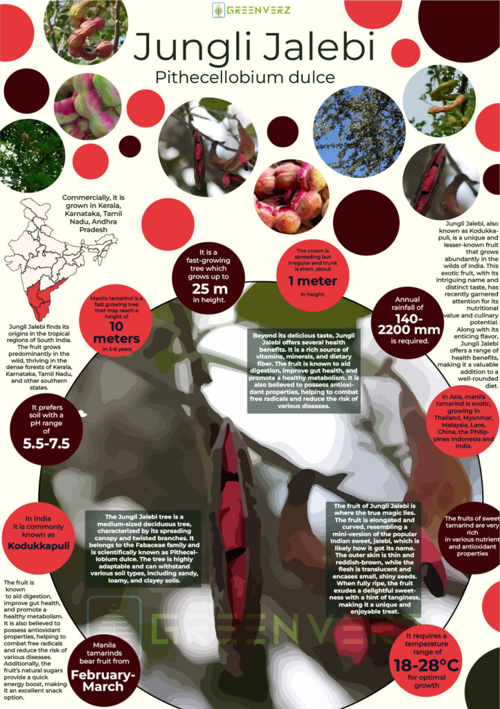 Infographics | Greenverz