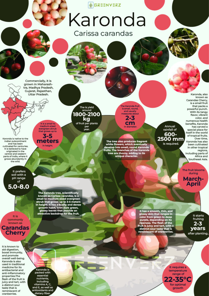 Infographics | Greenverz