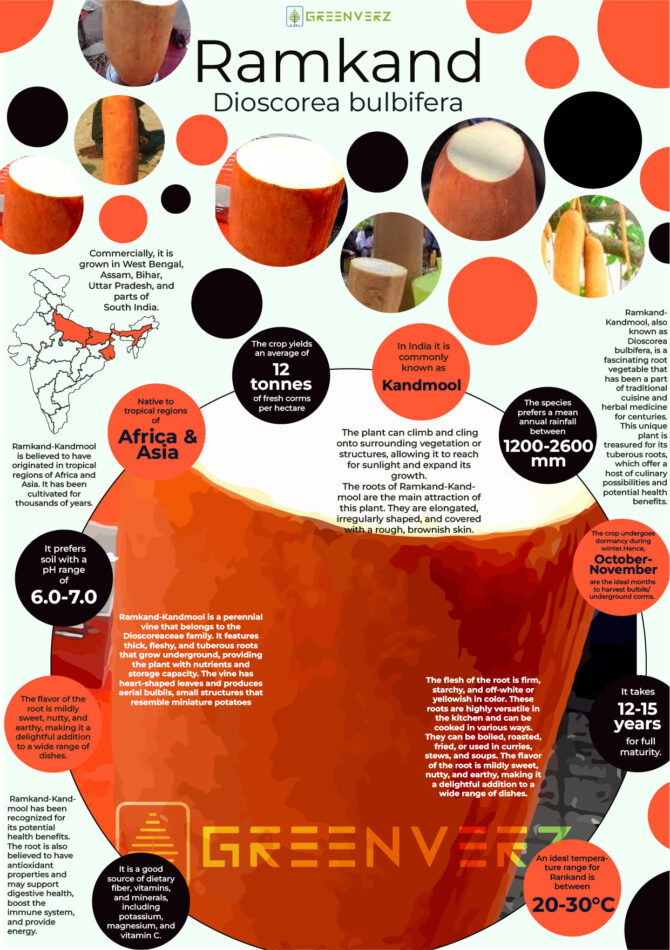 Infographics | Greenverz