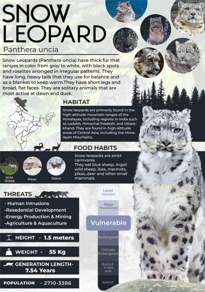 Infographics of Snow Leopard | Greenverz