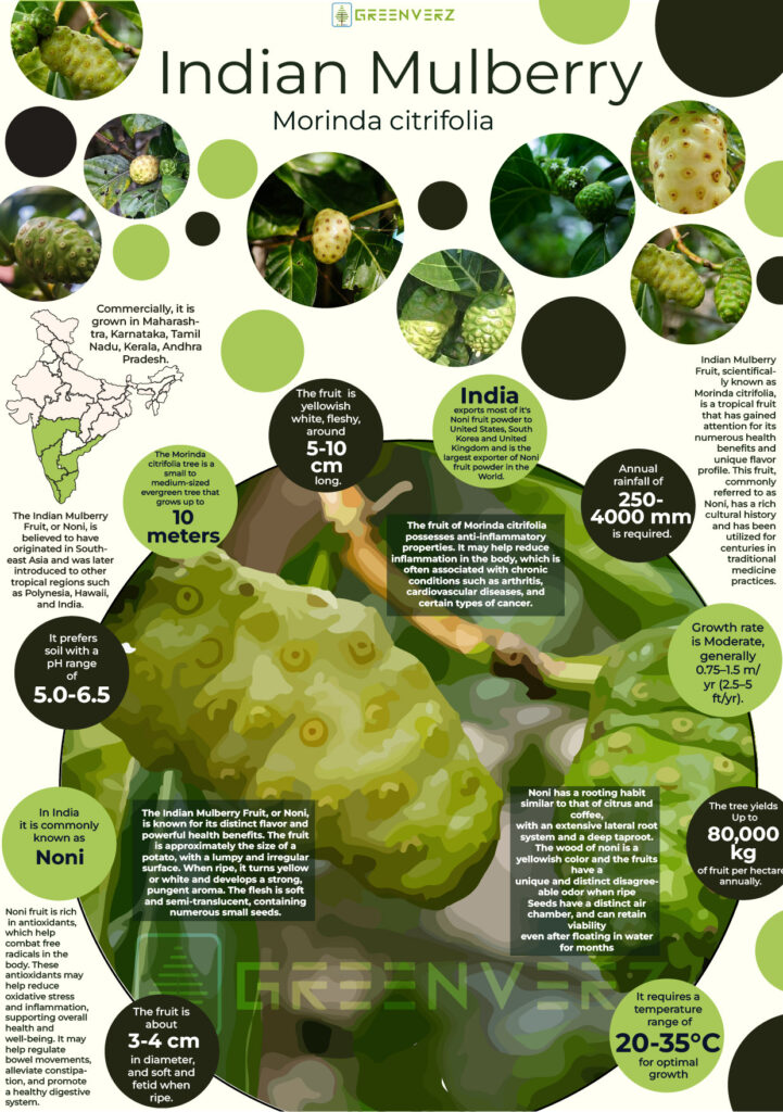 Infographics | Greenverz
