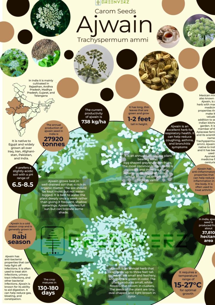 Infographics | Greenverz