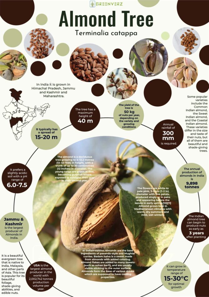 Infographics | Greenverz