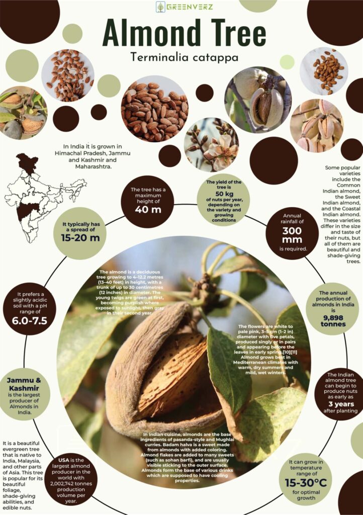 Infographics | Greenverz