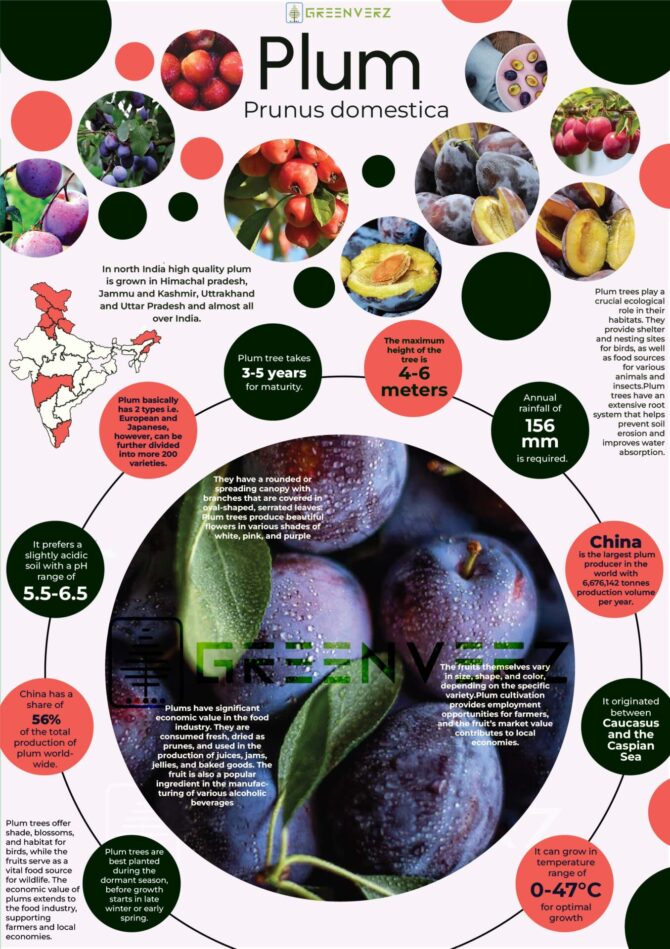 Infographics | Greenverz