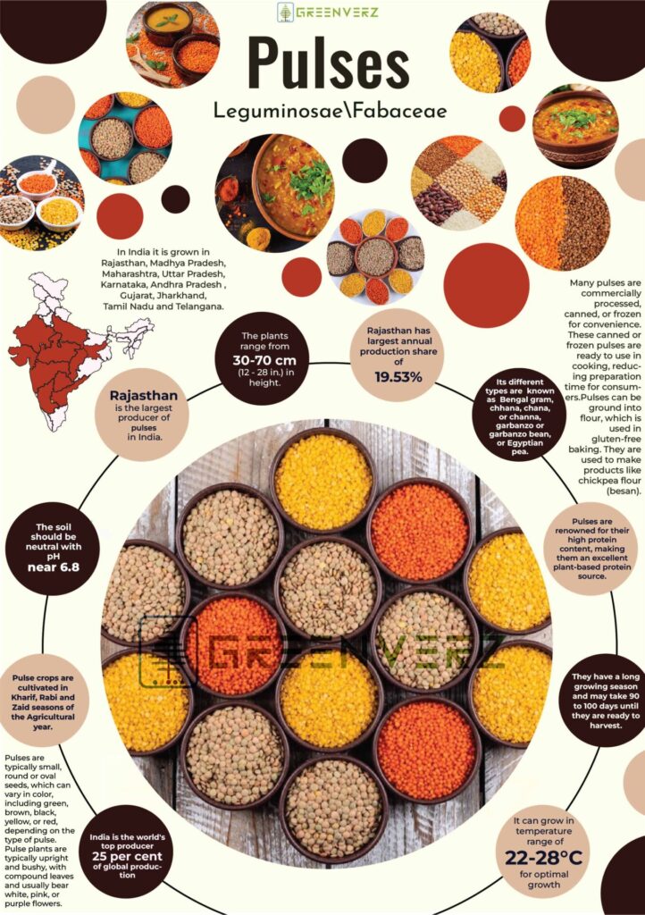 Infographics of Pulses | Greenverz